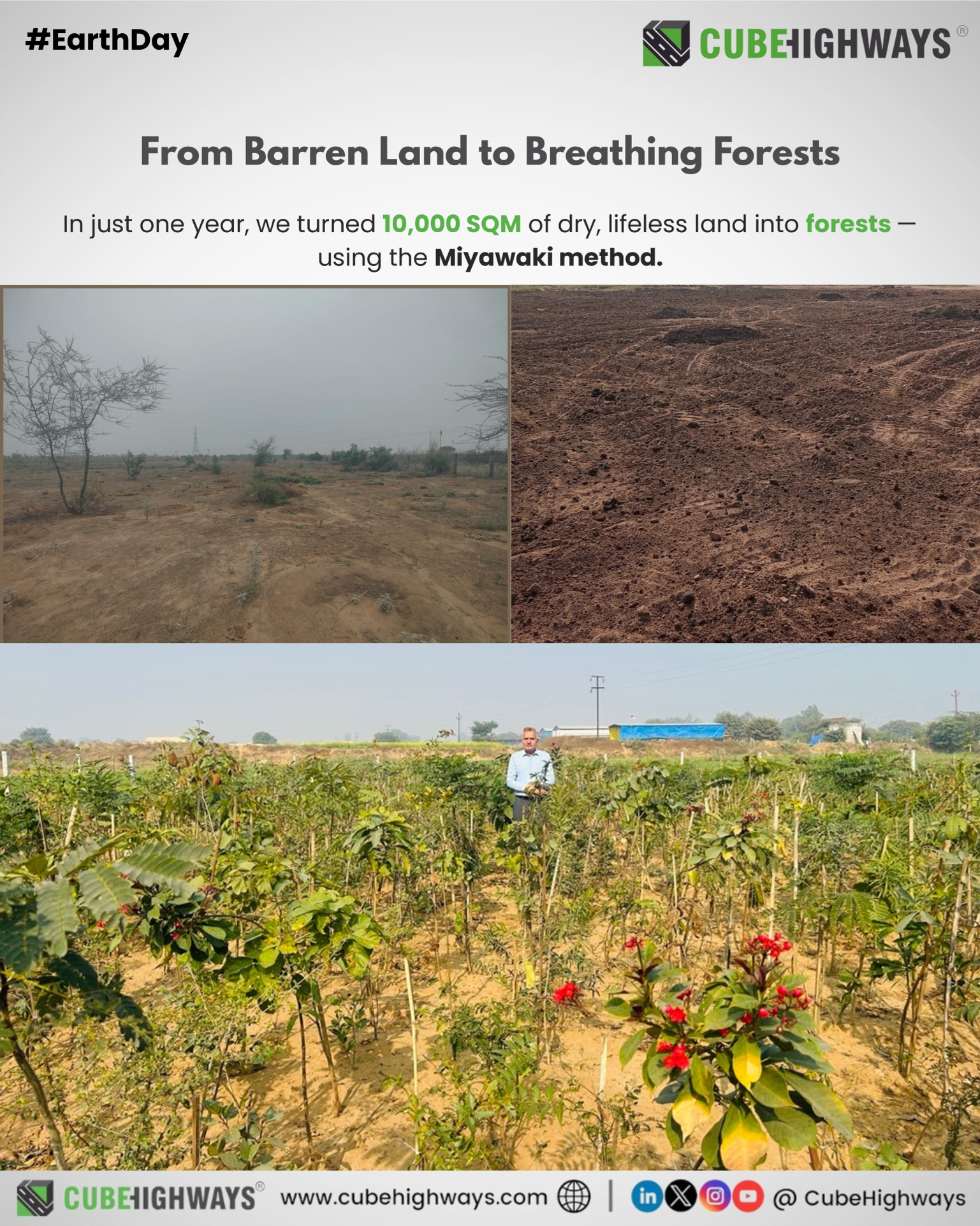 In just one year, we turned 10,000 SQM of land into thriving forest ...