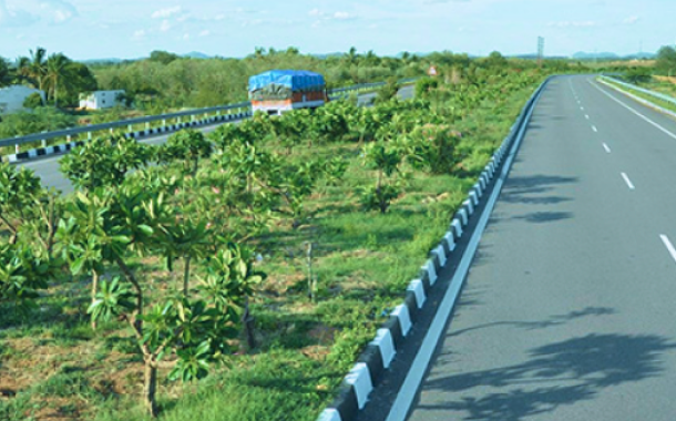 Picture of the section