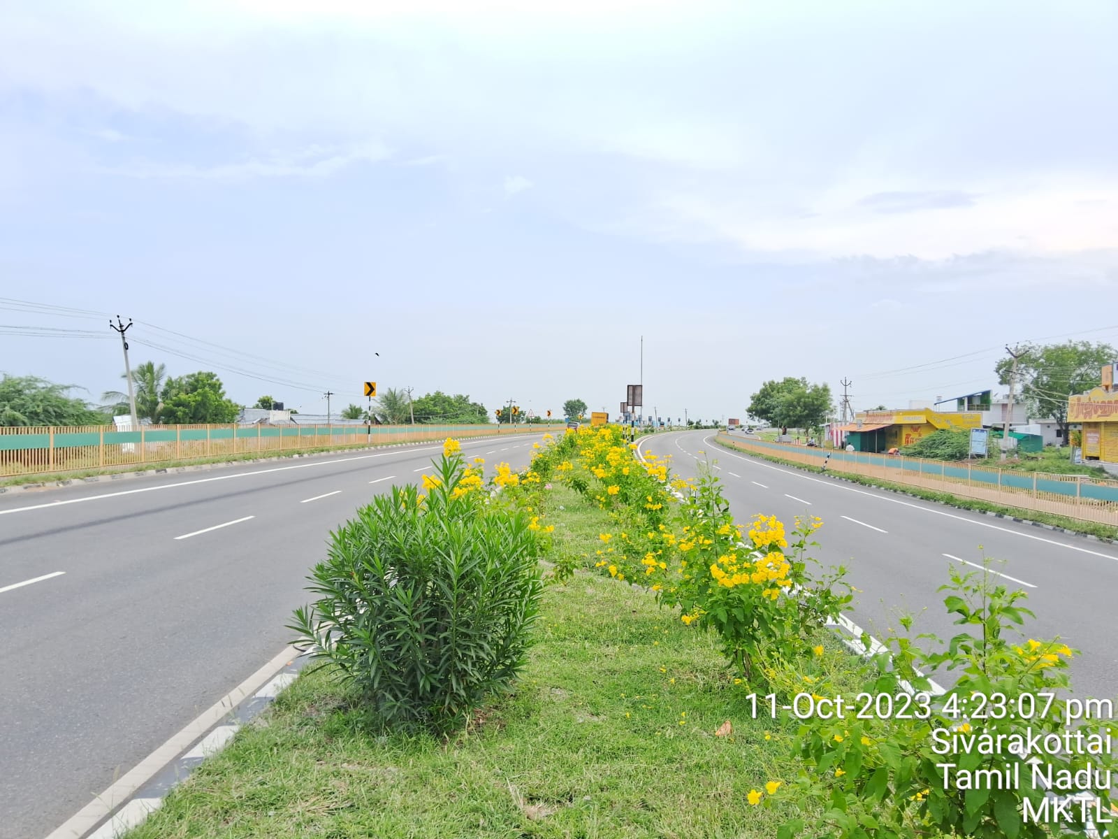 Picture of the section